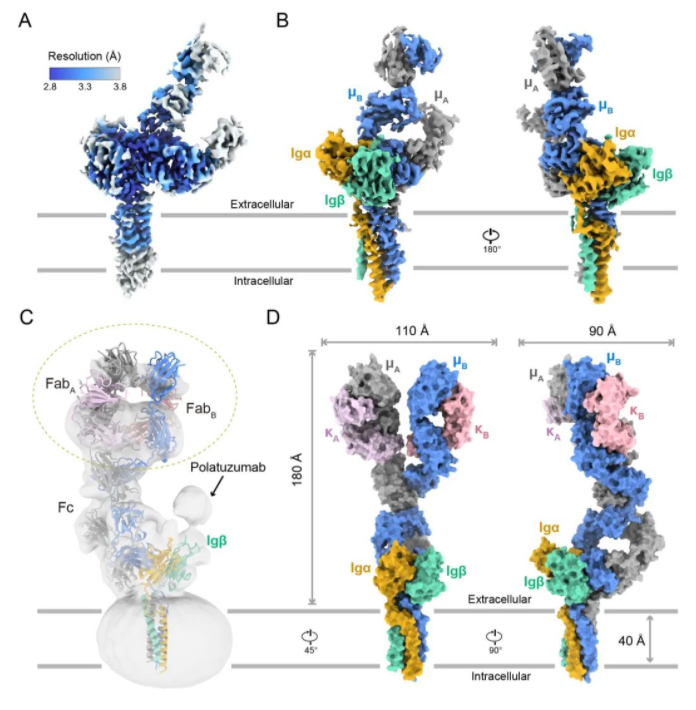 中国工程院院士馆-院士动态-院士资讯