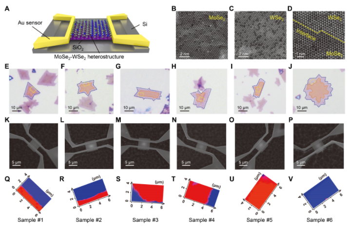 清华张兴团队《Science》发文 实现单层面内异质结的同步电/热整流