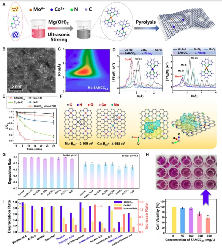 华东理工邢明阳团队在环境化学领域取得进展